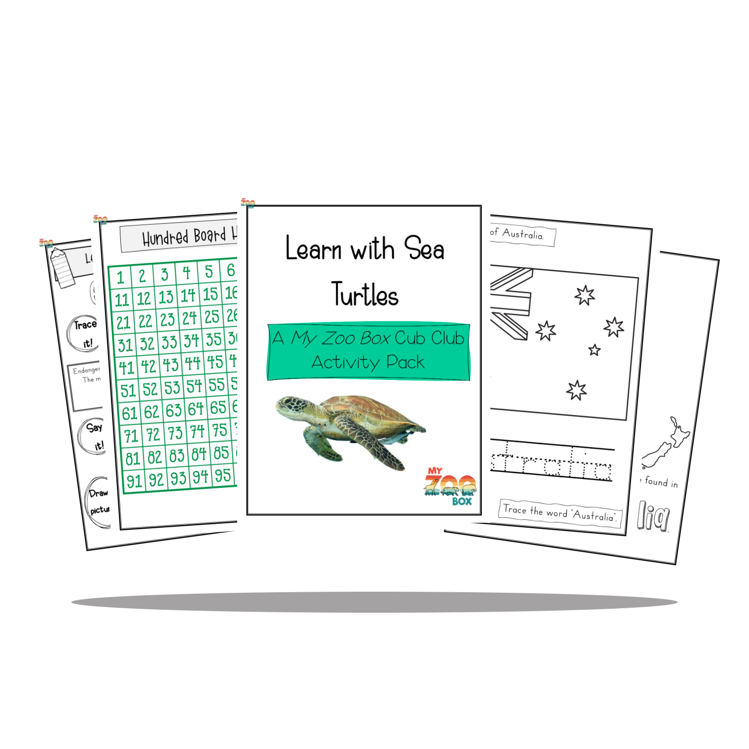 Sea Turtle Digital Unit Study – My ZOO Box
