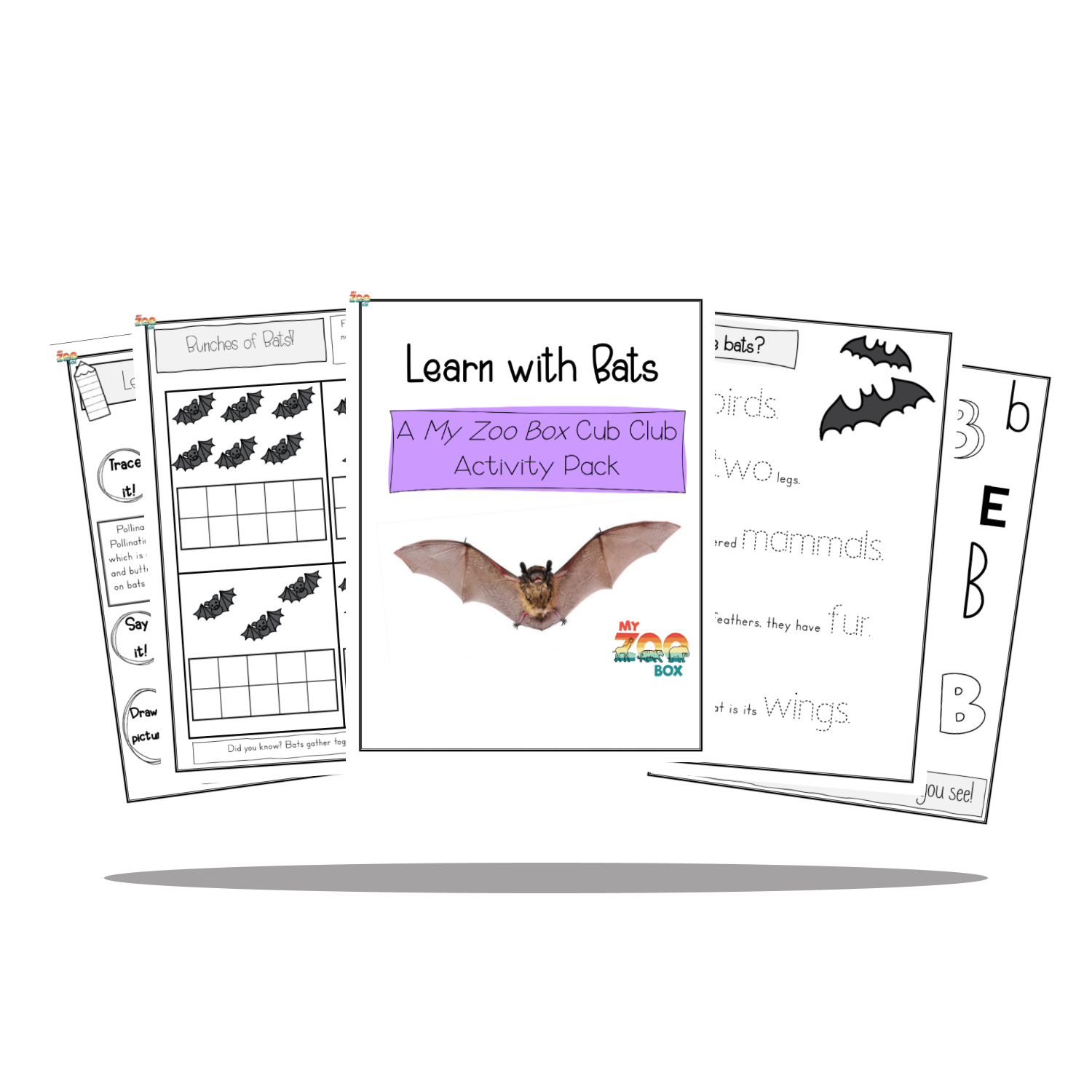 Preschool Bat Digital Unit Study – My ZOO Box